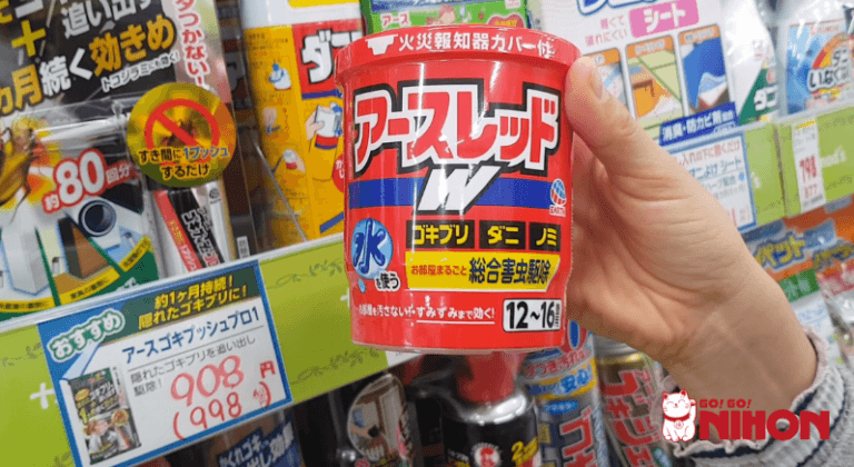 Dealing with cockroaches in Japan - Go! Go! Nihon