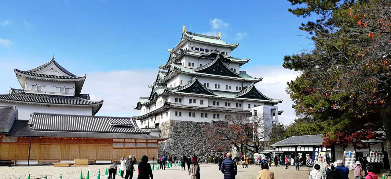 Language Schools in Japan: Gain Skills to Speak Japanese