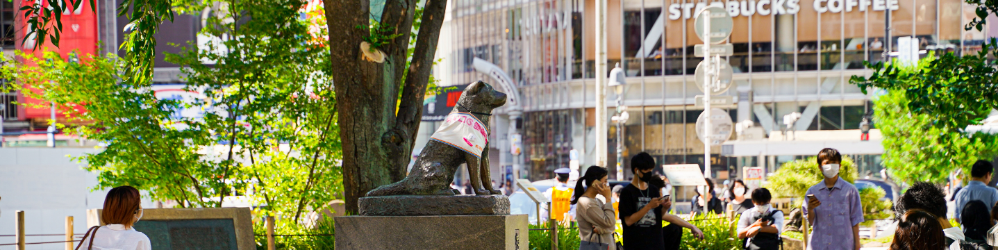 Learn The Story of Hachiko: A Dog at the Heart of Shibuya
