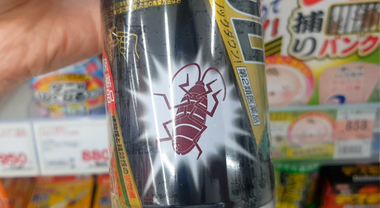 Dealing with cockroaches in Japan - Go! Go! Nihon