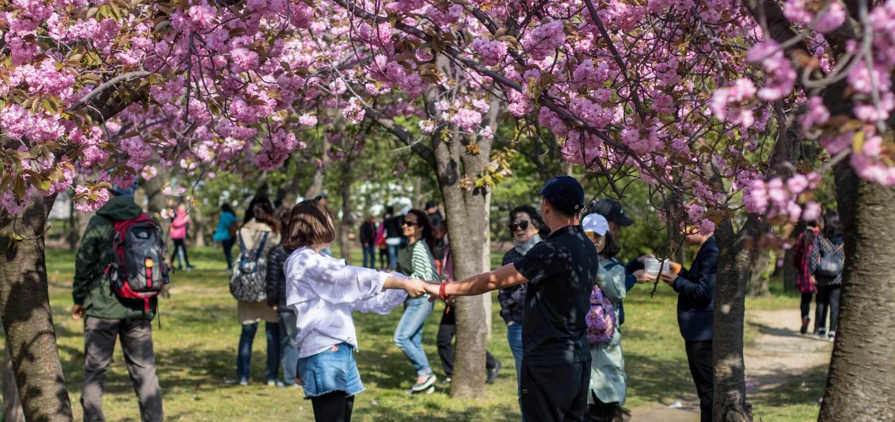 Life in Japan Archives - Go! Go! Nihon