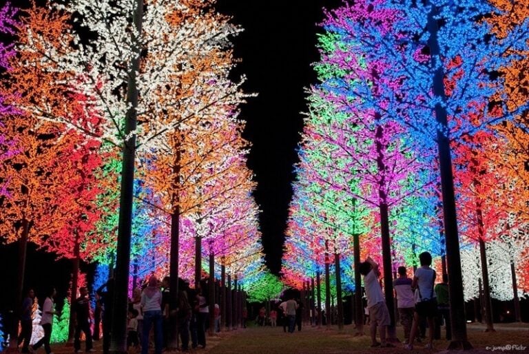 Trips - Go! Go! Nihon