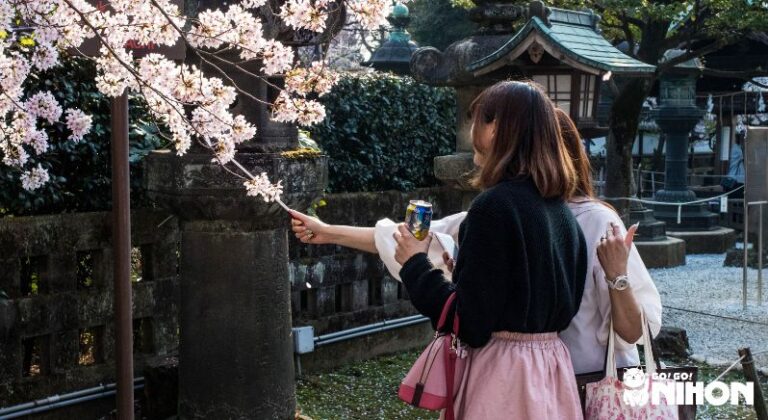 Grow your Japanese spring vocabulary with these seasonal words