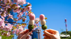 How to celebrate hanami the Japanese way